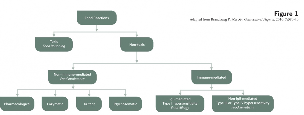 Food Reactions - Health Facts