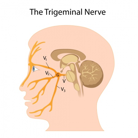Neuralgia - Health Facts